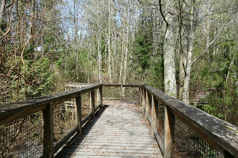 Seattle: Carkeek Park | Park Preview