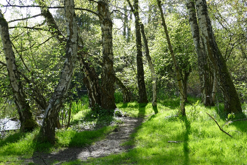 Spring Trail | Park Preview