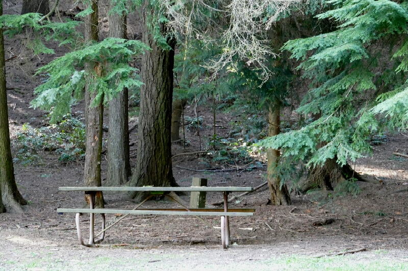 Shoreline: Hamlin Park | Park Preview