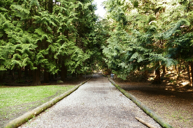 Shoreline: Hamlin Park | Park Preview