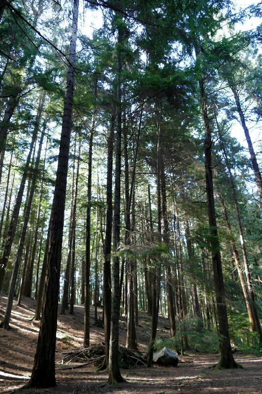 Shoreline: Hamlin Park | Park Preview