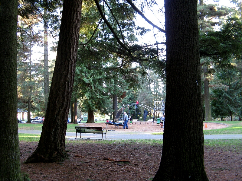 Shoreline: Hamlin Park | Park Preview