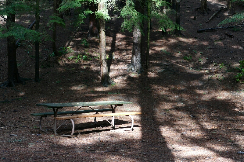 Shoreline: Hamlin Park | Park Preview