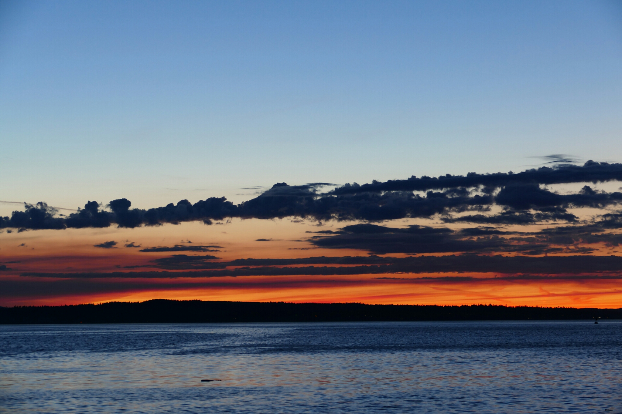 Golden Solstice | Park Preview