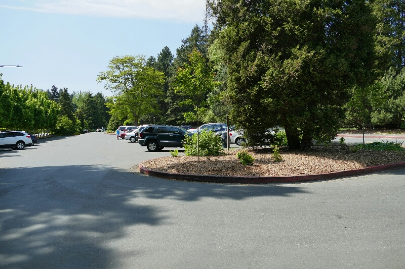 Seattle: Matthews Beach | Park Preview