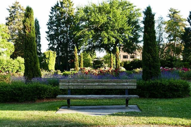 Seattle: Woodland Park Rose Garden | Park Preview