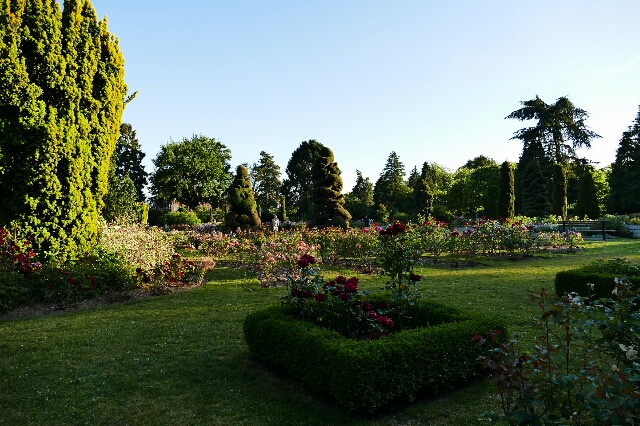 Seattle: Woodland Park Rose Garden | Park Preview