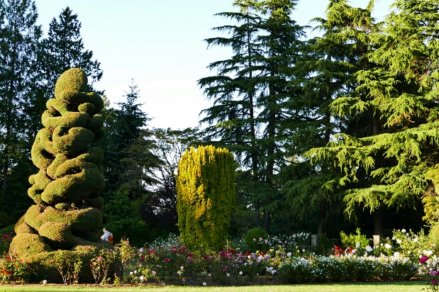 Seattle: Woodland Park Rose Garden | Park Preview