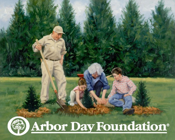 Seattle Celebrates 30th Anniversary as a Tree City USA | Park Preview