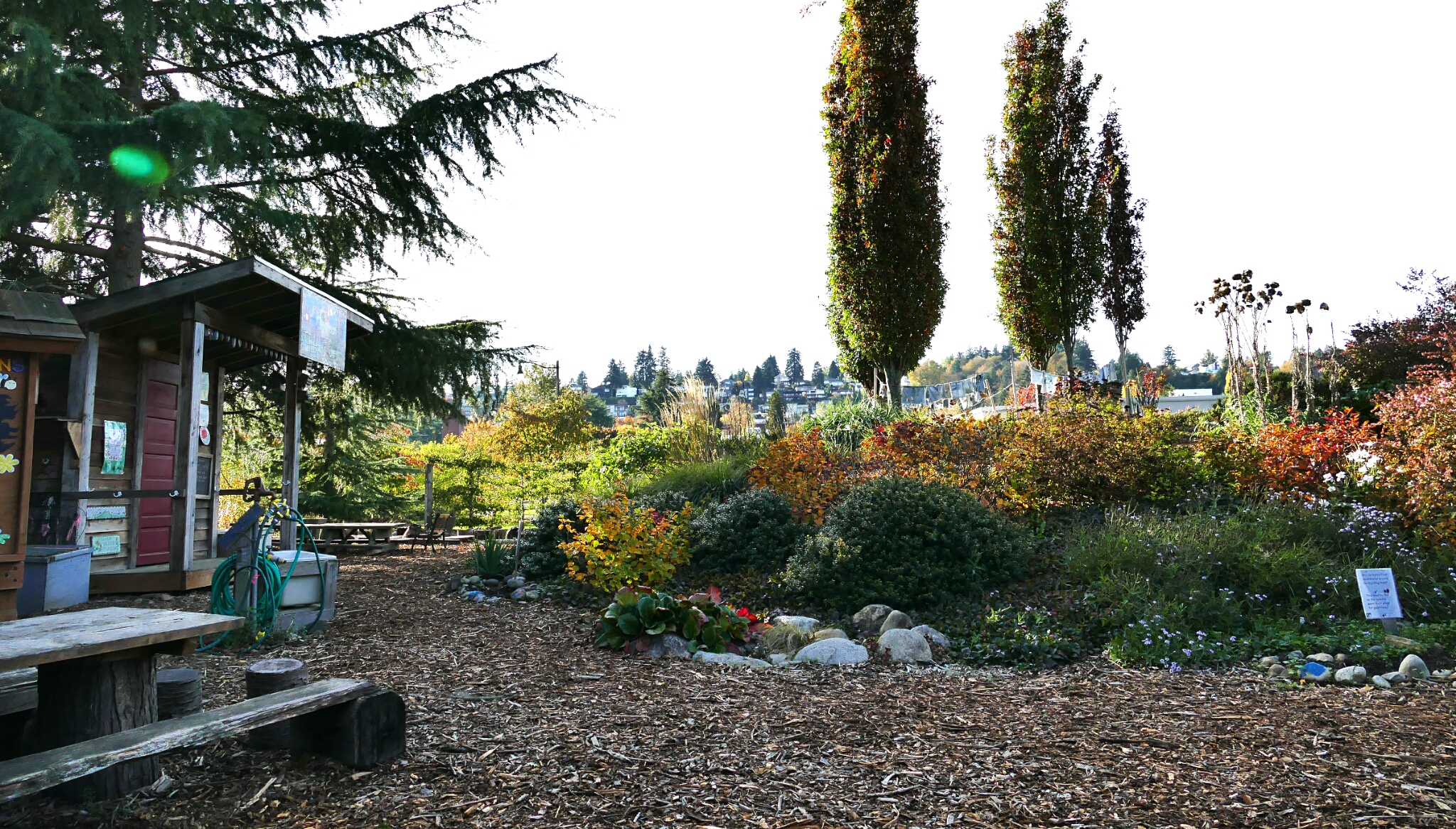 Seattle: Magnuson Pt. 3 – The Gardens | Park Preview