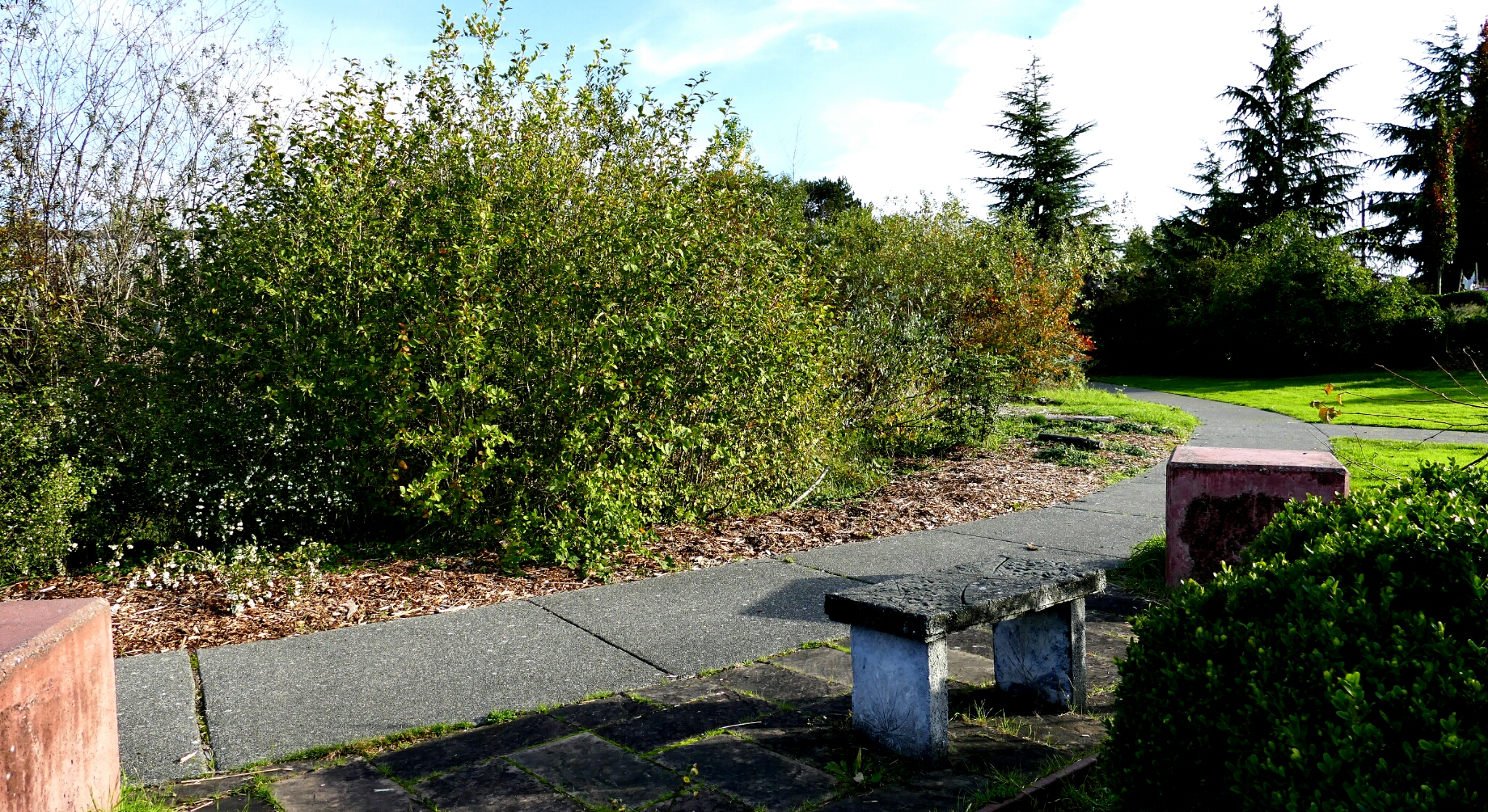 Seattle: Magnuson Pt. 3 – The Gardens | Park Preview