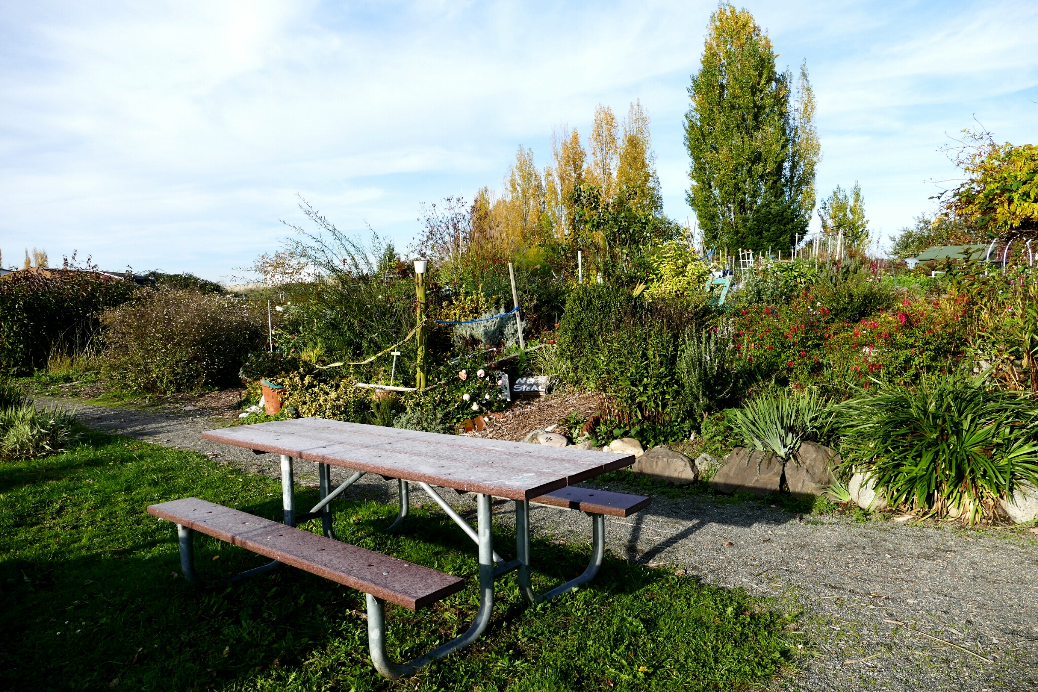 Seattle: Magnuson Pt. 3 – The Gardens | Park Preview