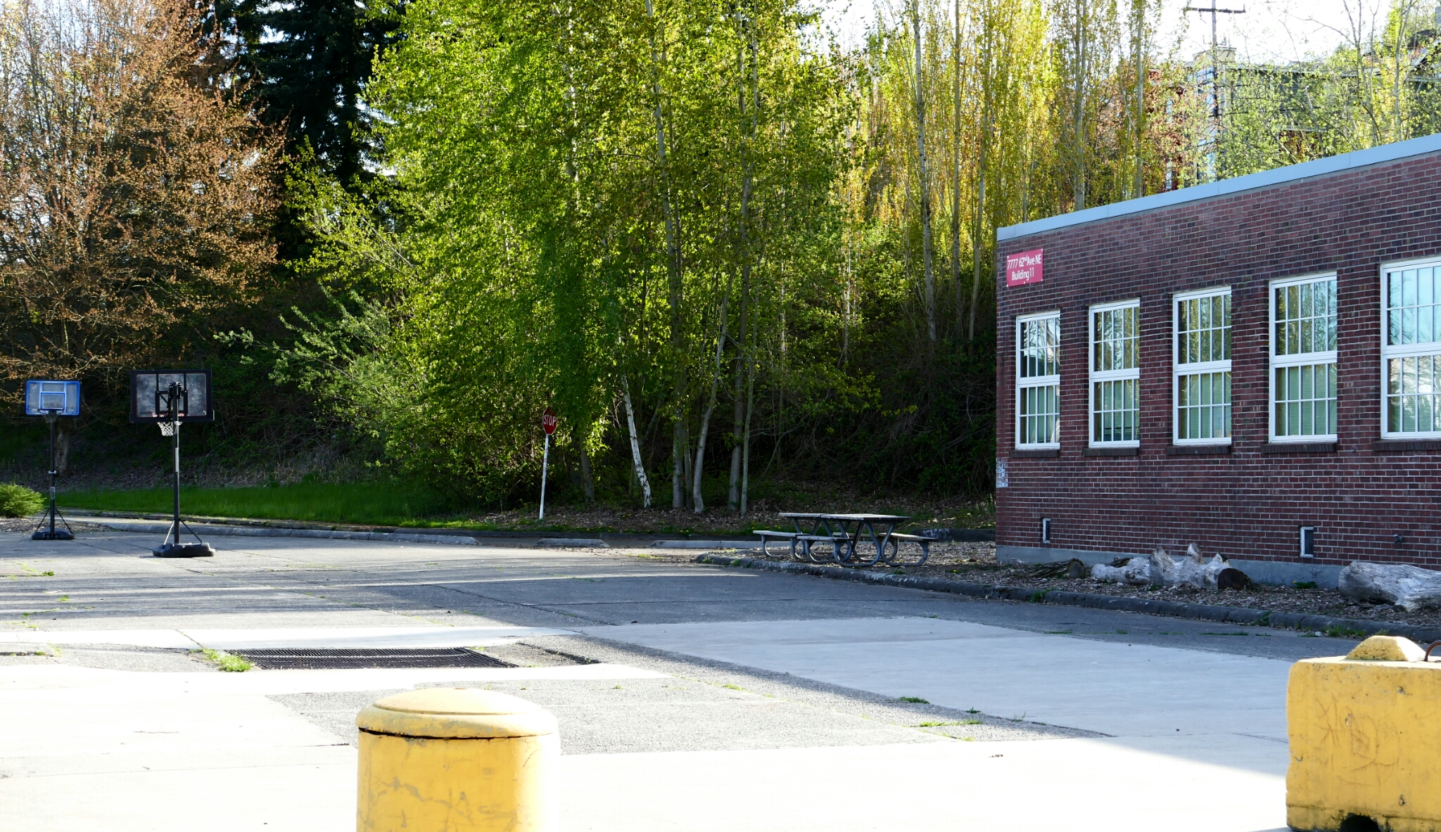 Seattle: Magnuson Pt. 2 – North Shore Rec Area | Park Preview
