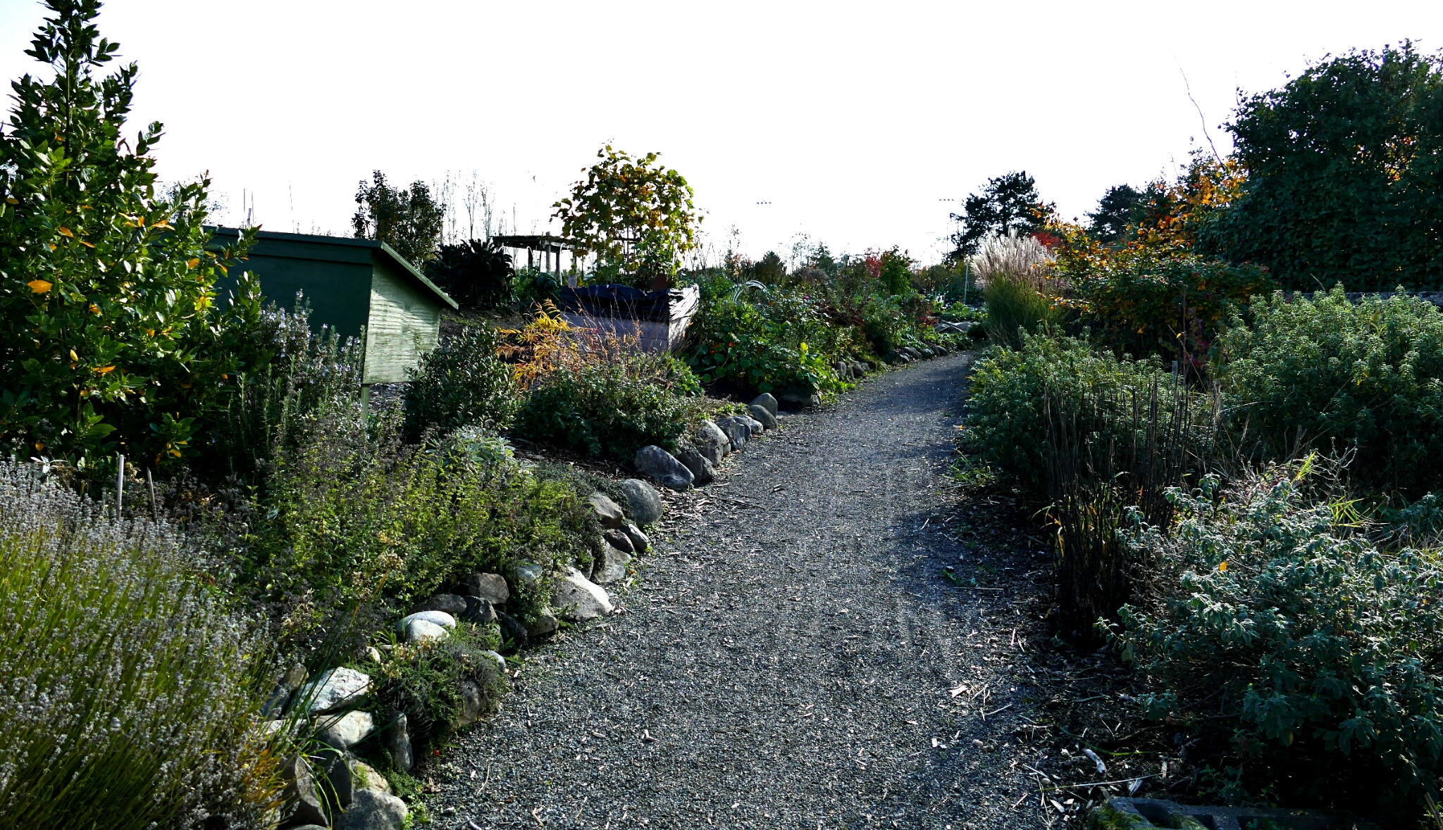 Seattle: Magnuson Pt. 3 – The Gardens | Park Preview