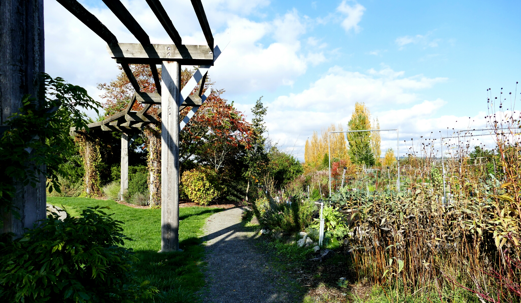 Seattle: Magnuson Pt. 3 – The Gardens | Park Preview