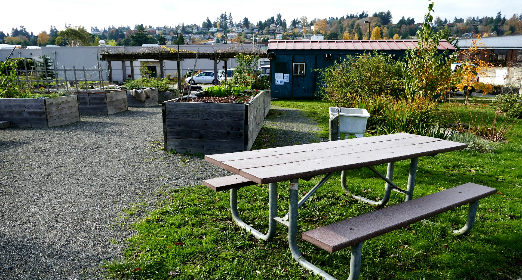 Seattle: Magnuson Pt. 3 – The Gardens | Park Preview