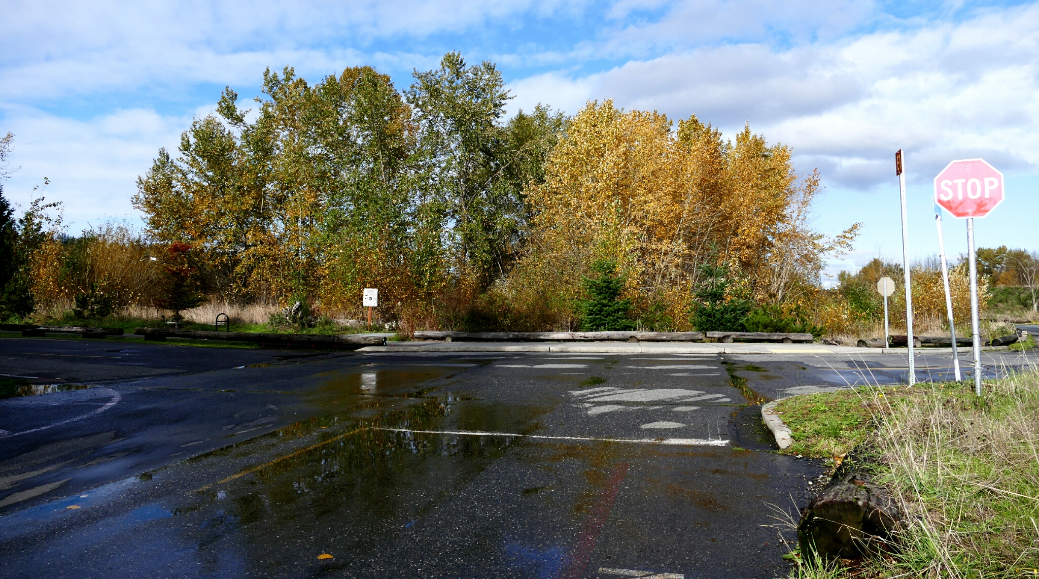 Seattle: Magnuson Park Pt. 4 – The Wetlands | Park Preview
