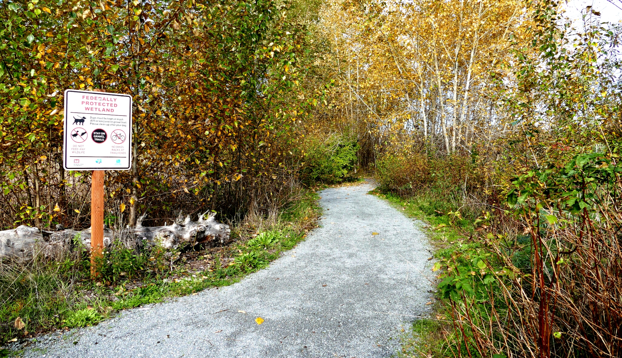Seattle: Magnuson Park Pt. 4 – The Wetlands | Park Preview