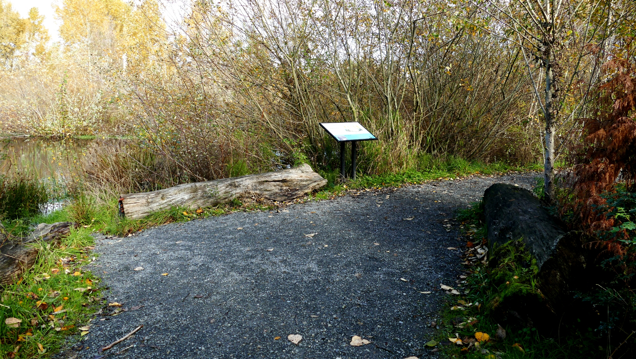 Seattle: Magnuson Park Pt. 4 – The Wetlands | Park Preview