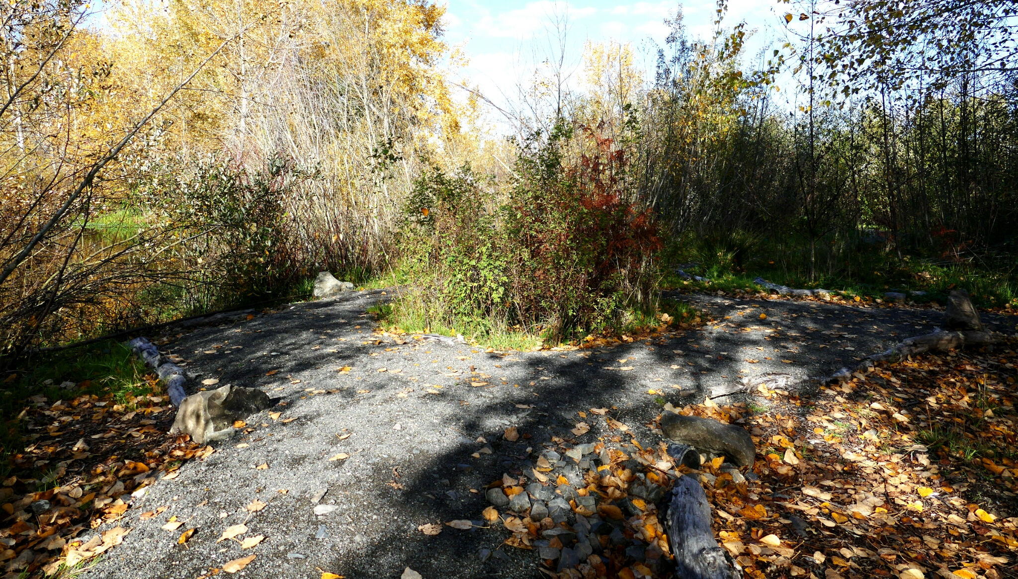 Seattle: Magnuson Park Pt. 4 – The Wetlands | Park Preview