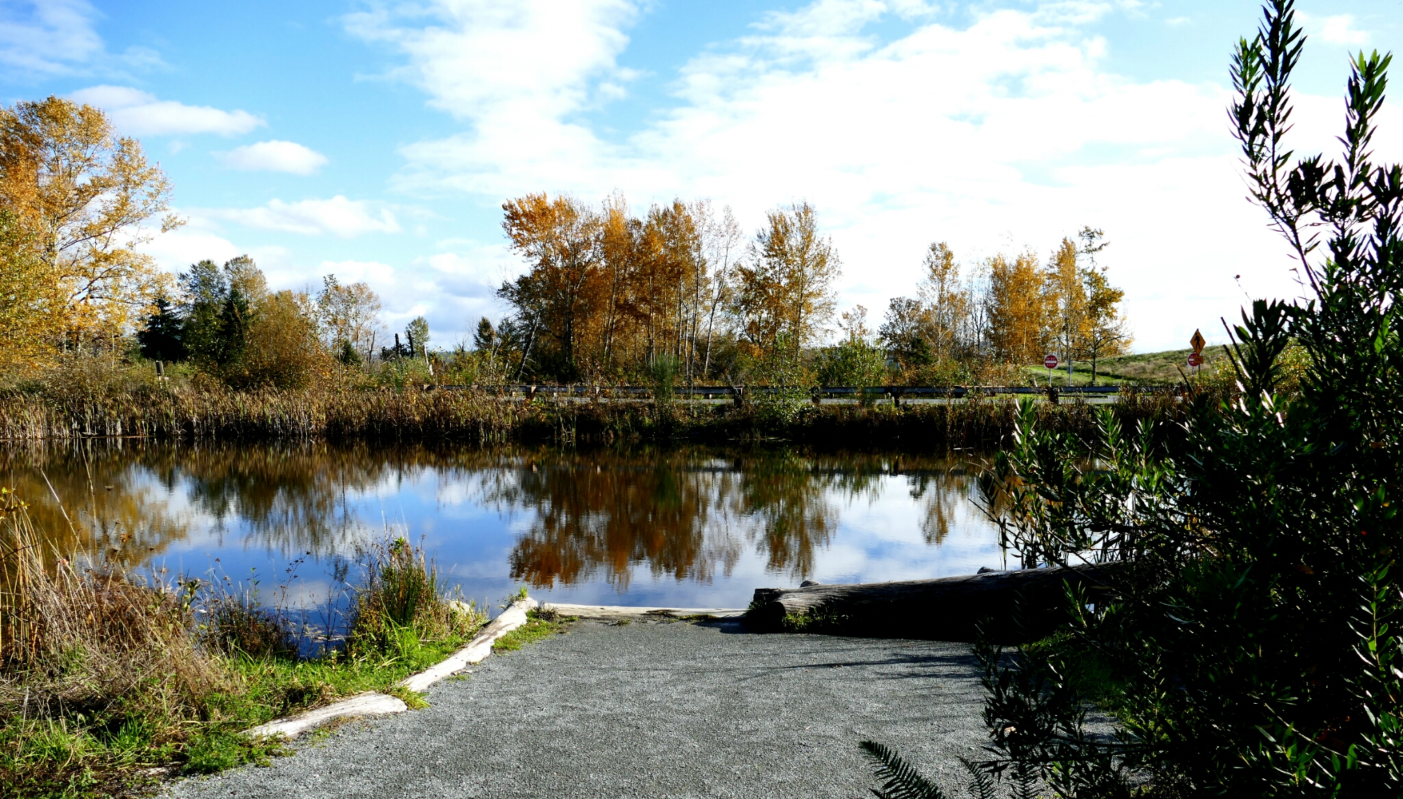 Seattle: Magnuson Park Pt. 4 – The Wetlands | Park Preview