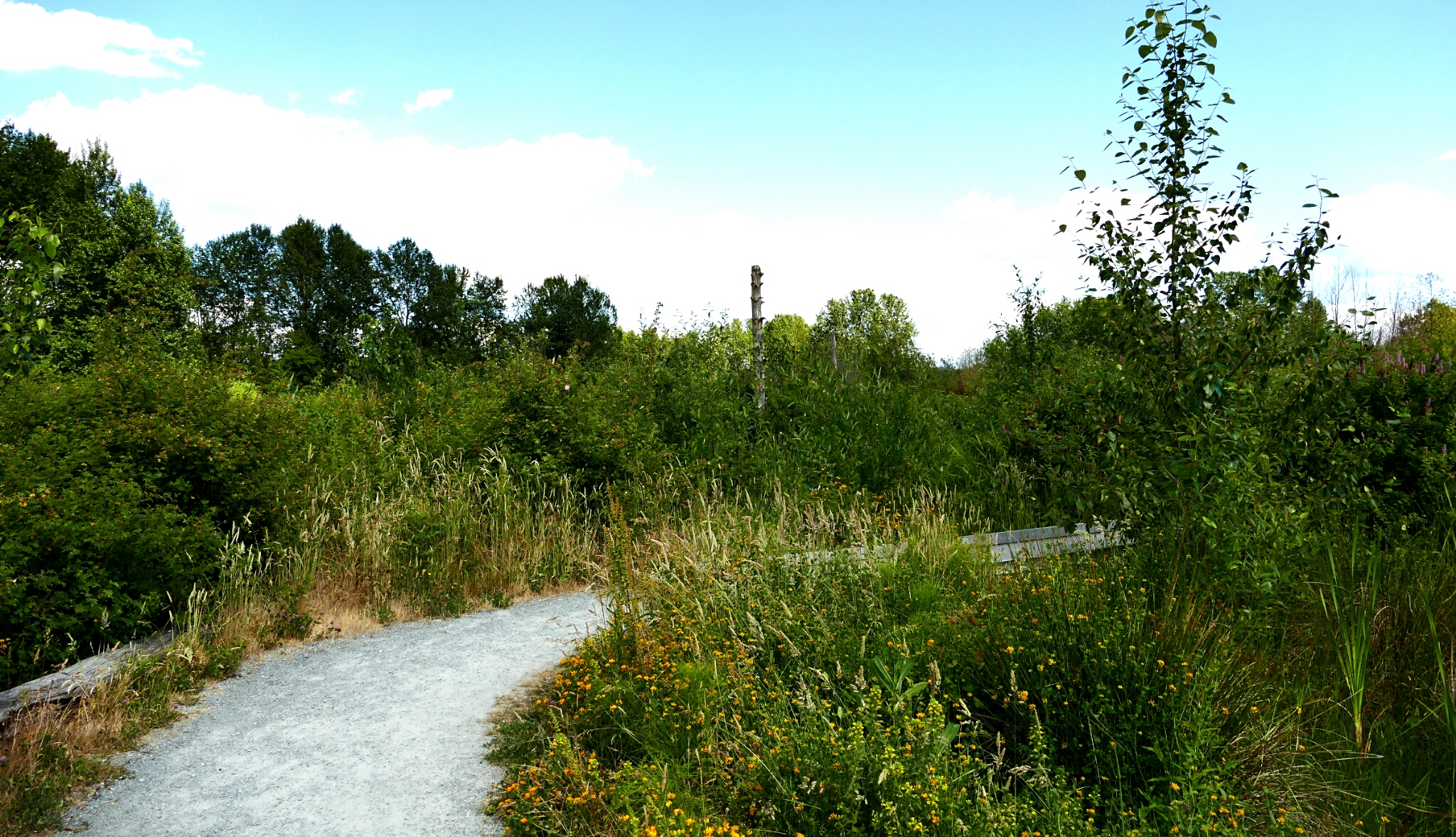 Seattle: Magnuson Park Pt. 4 – The Wetlands | Park Preview