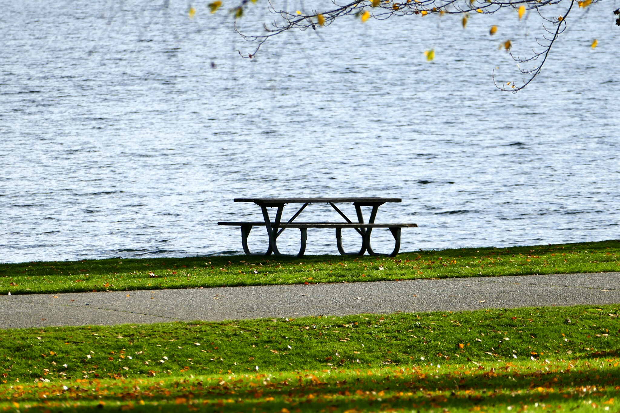 Seattle: Magnuson Park Pt. 6 – Kite Hill Area | Park Preview