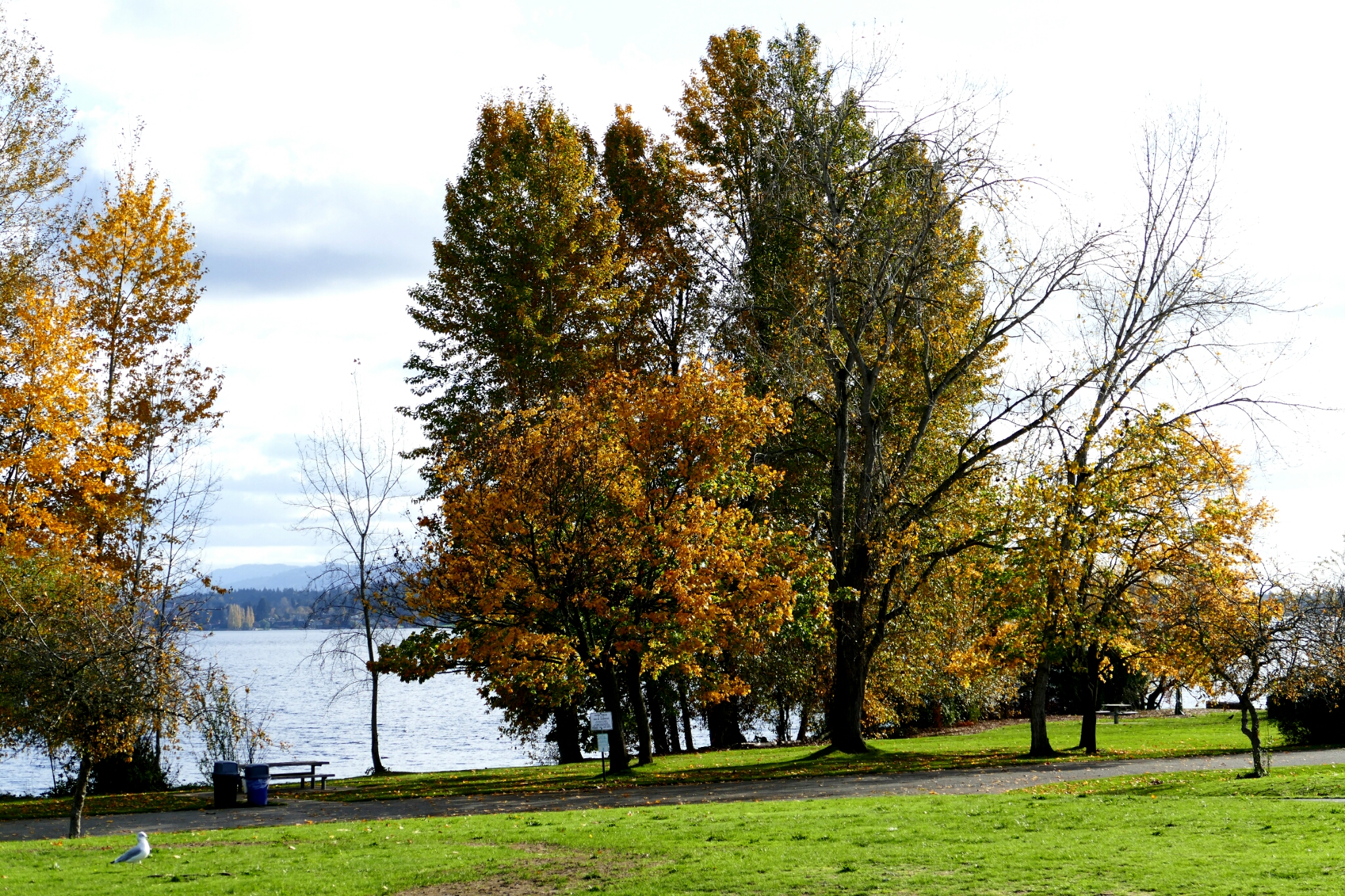 Seattle: Magnuson Park Pt. 6 – Kite Hill Area | Park Preview