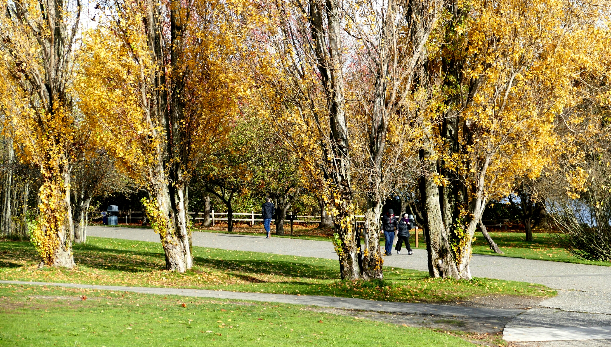 Seattle: Magnuson Park Pt. 6 – Kite Hill Area | Park Preview