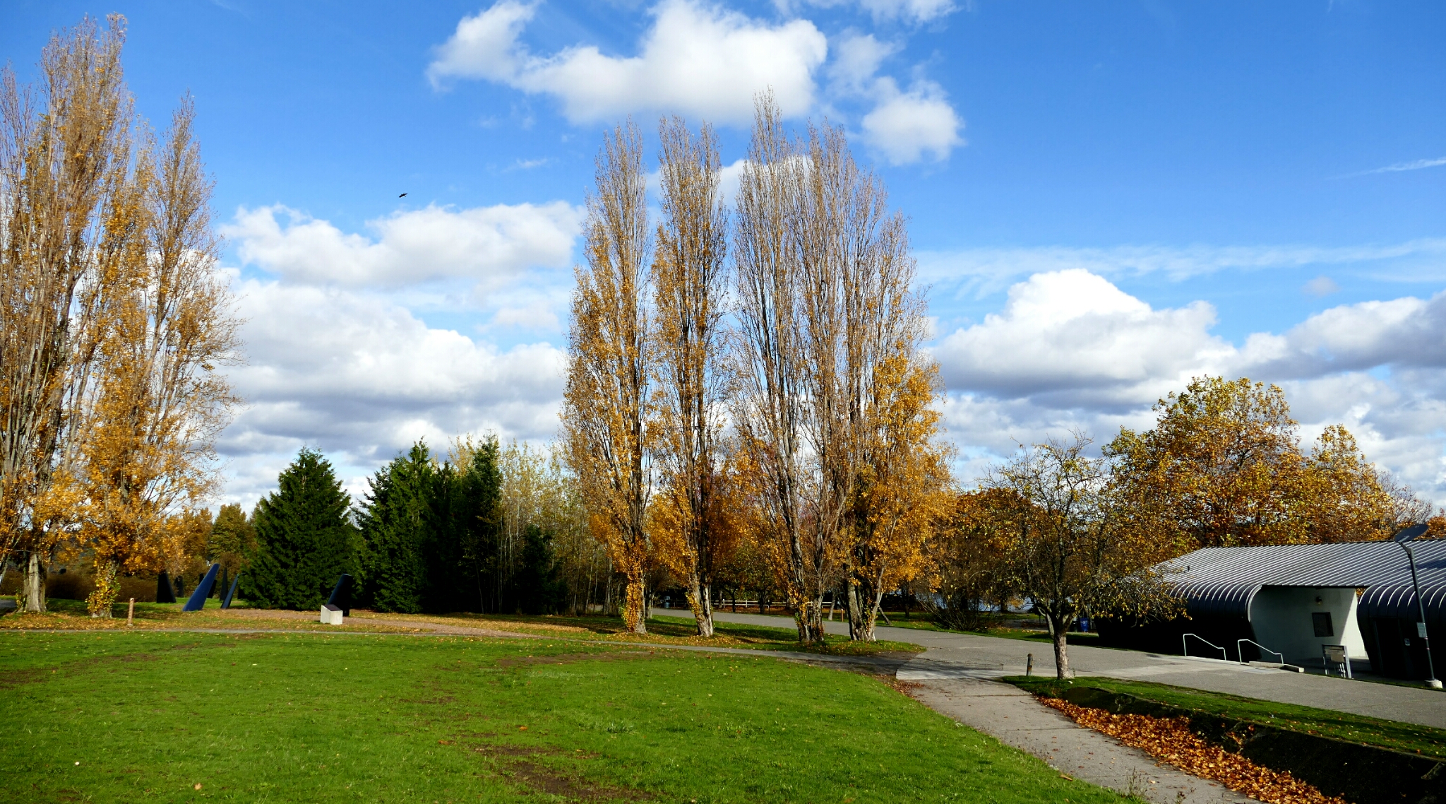 Seattle: Magnuson Park Pt. 6 – Kite Hill Area | Park Preview