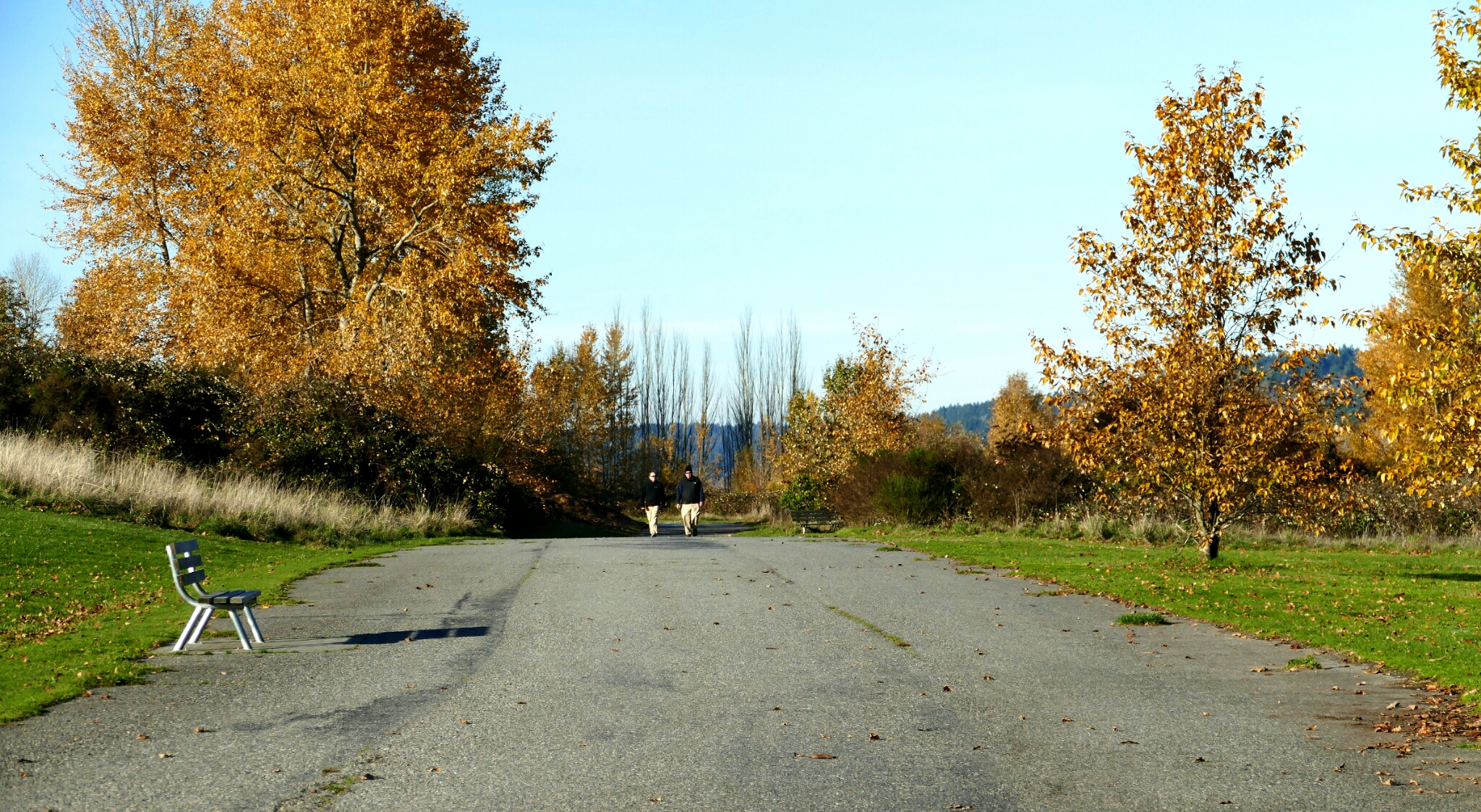 Seattle: Magnuson Park Pt. 6 – Kite Hill Area | Park Preview