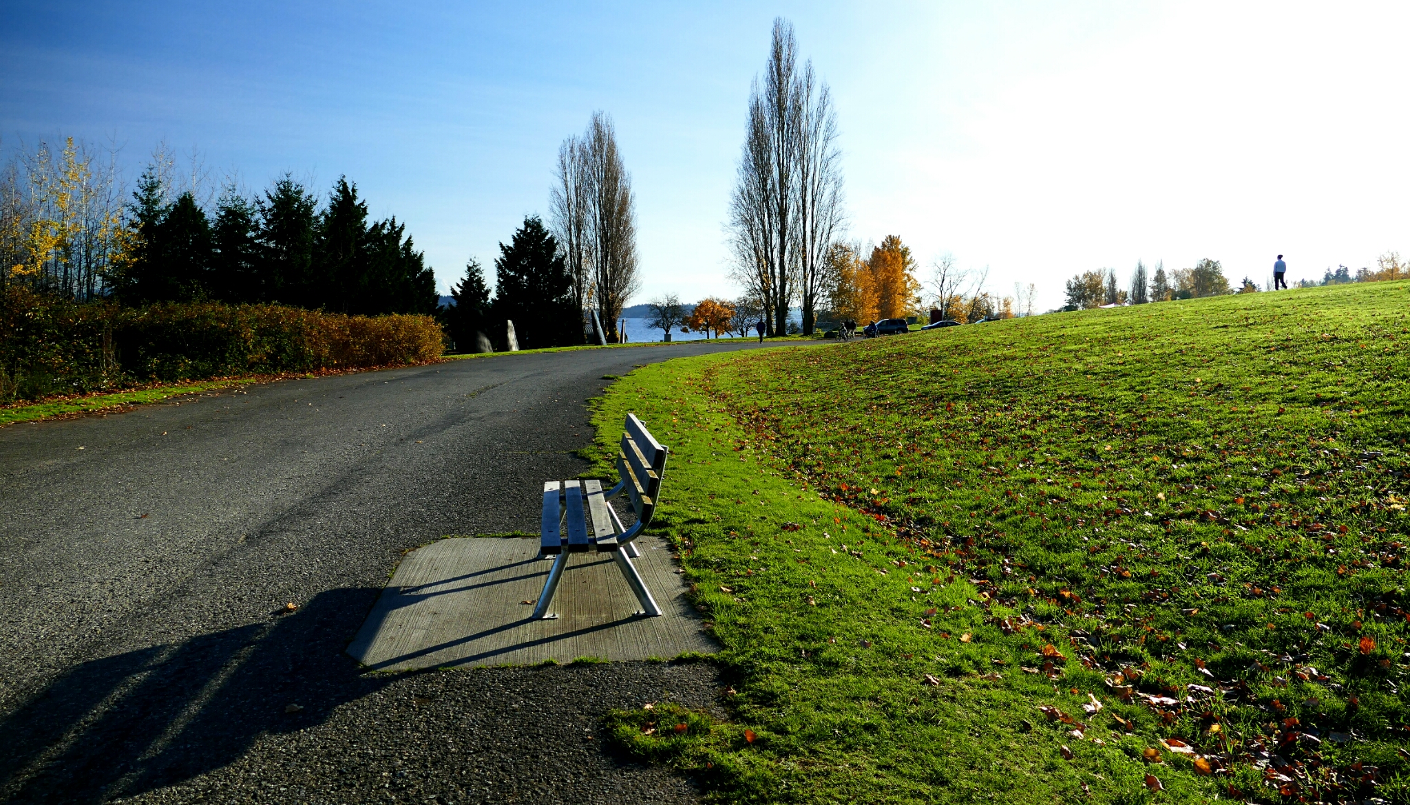Seattle: Magnuson Park Pt. 6 – Kite Hill Area | Park Preview