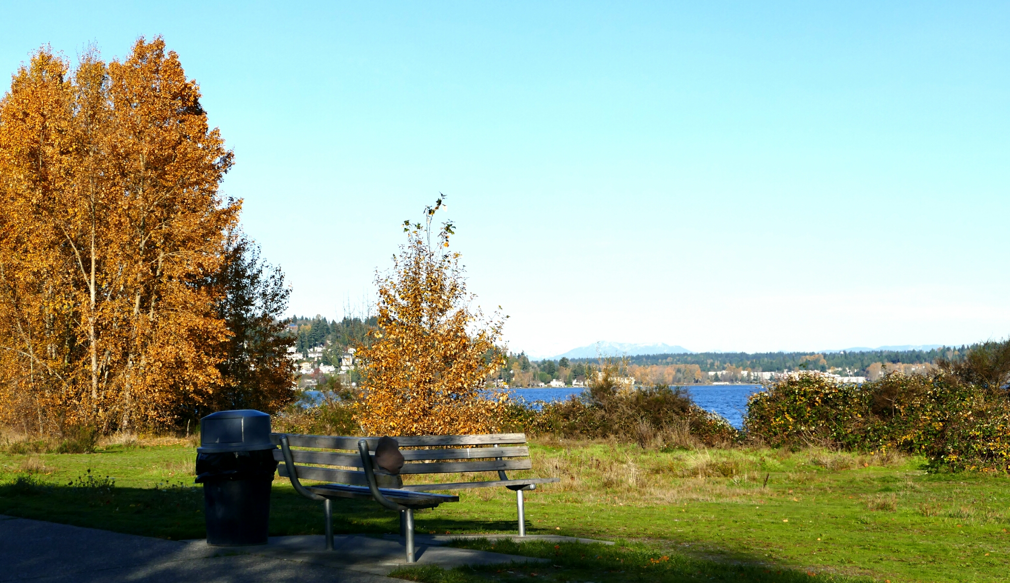 Seattle: Magnuson Park Pt. 6 – Kite Hill Area | Park Preview