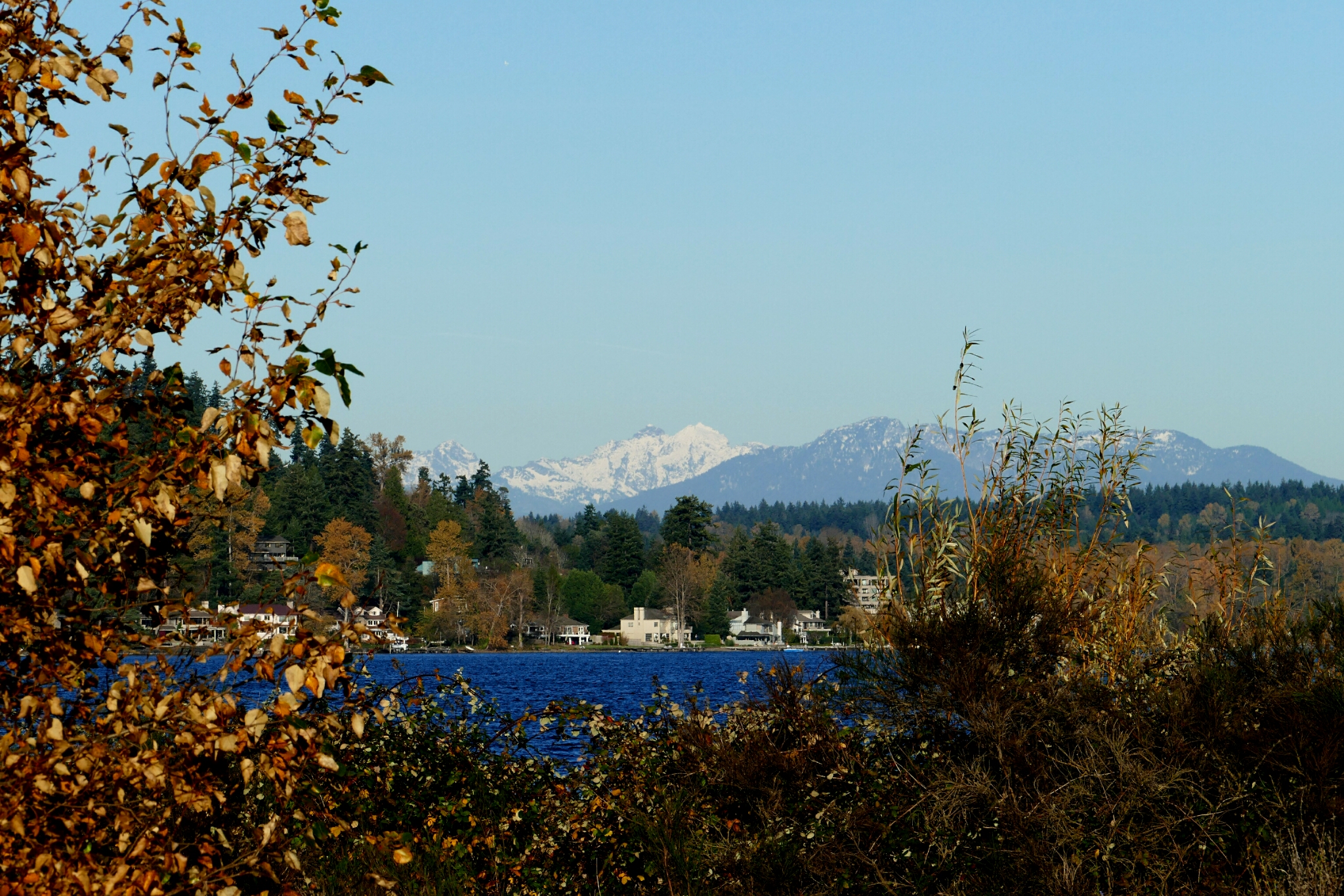 Seattle: Magnuson Park Pt. 6 – Kite Hill Area | Park Preview