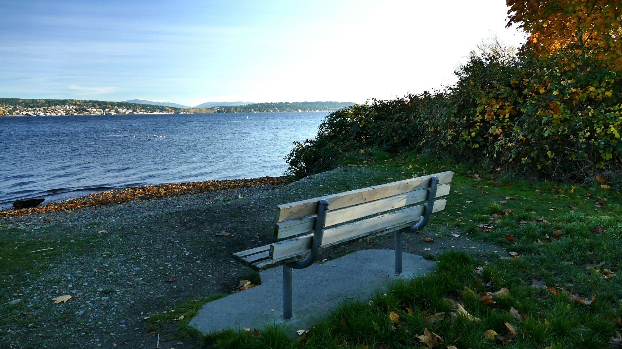Seattle: Magnuson Park Pt. 6 – Kite Hill Area | Park Preview