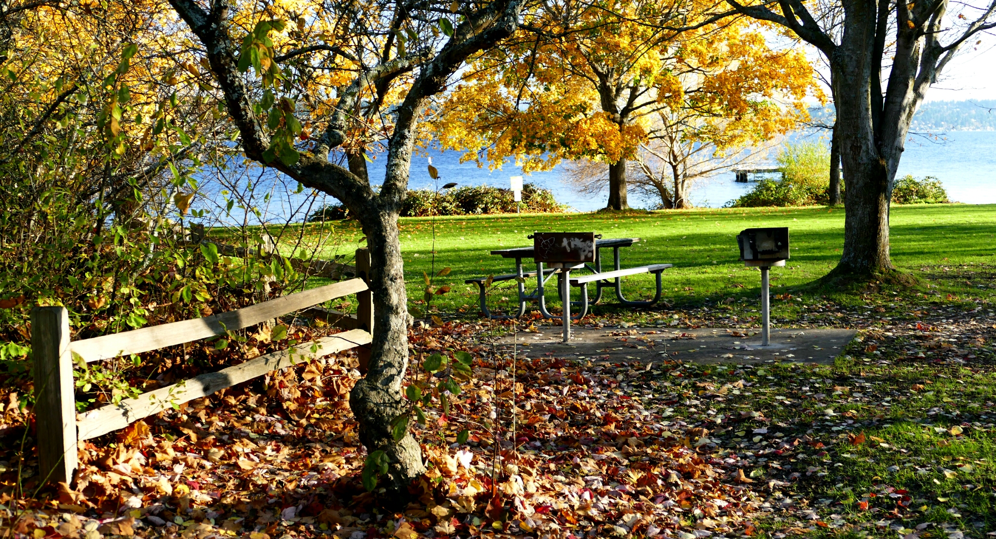 Seattle: Magnuson Park Pt. 6 – Kite Hill Area | Park Preview