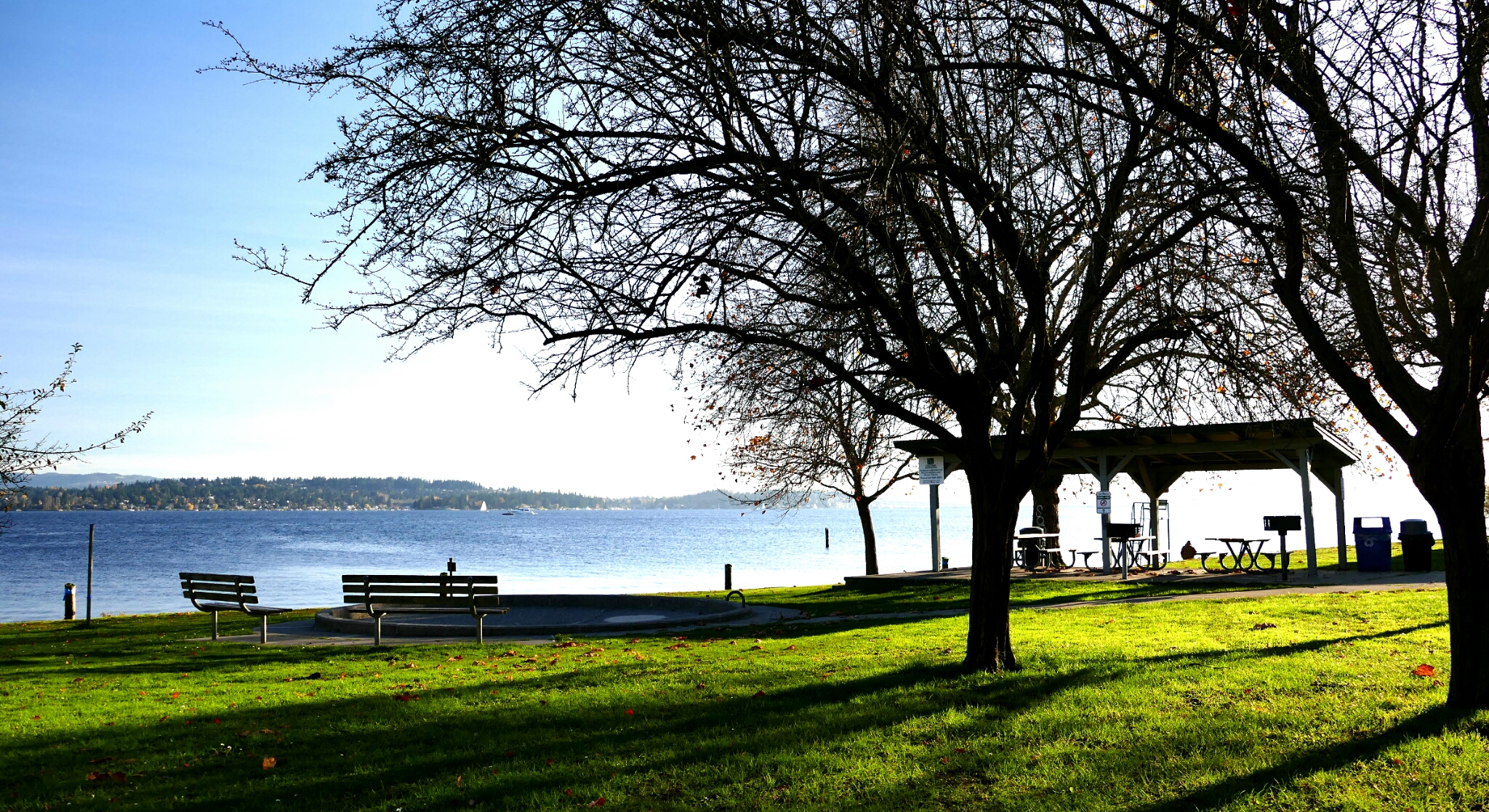 Seattle: Magnuson Park Pt. 6 – Kite Hill Area | Park Preview