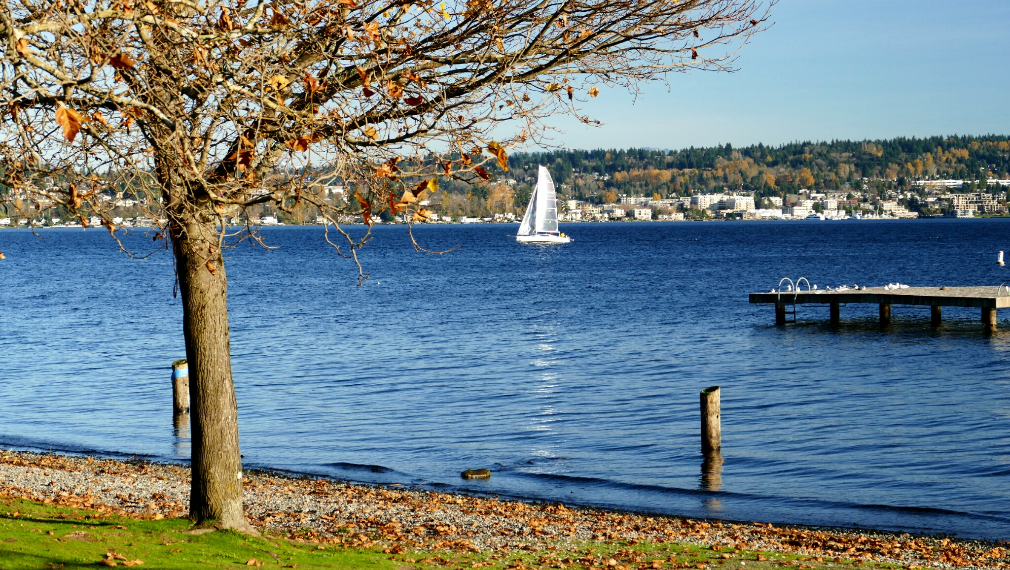 Seattle: Magnuson Park Pt. 6 – Kite Hill Area | Park Preview