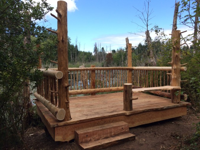 Vashon Island Wetland | Park Preview
