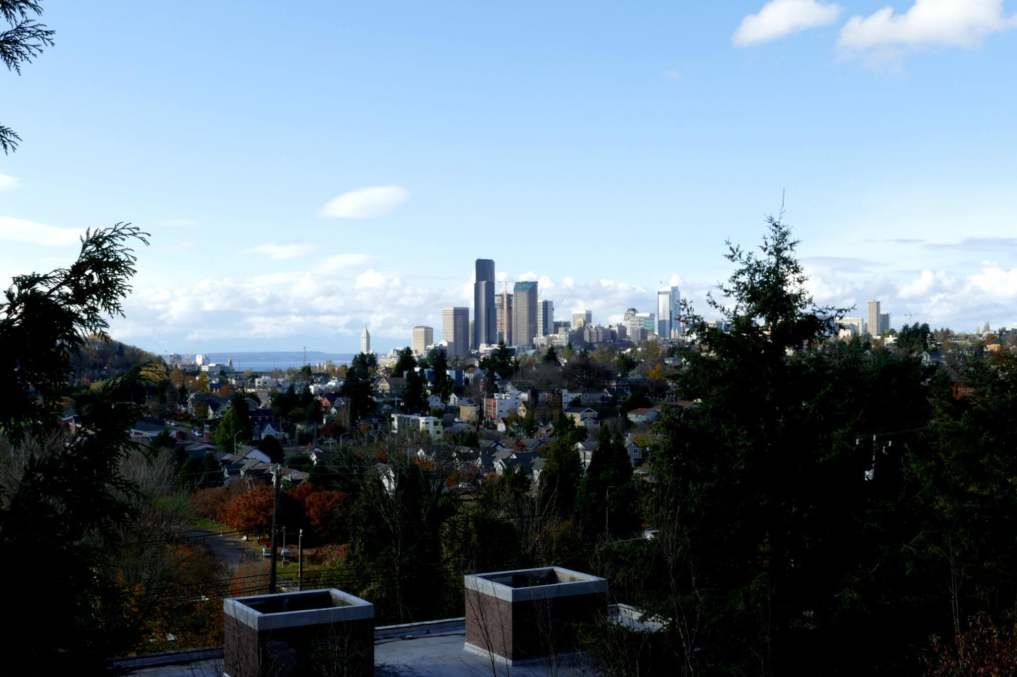 Mount Baker Ridge Viewpoint in Seattle | Park Preview
