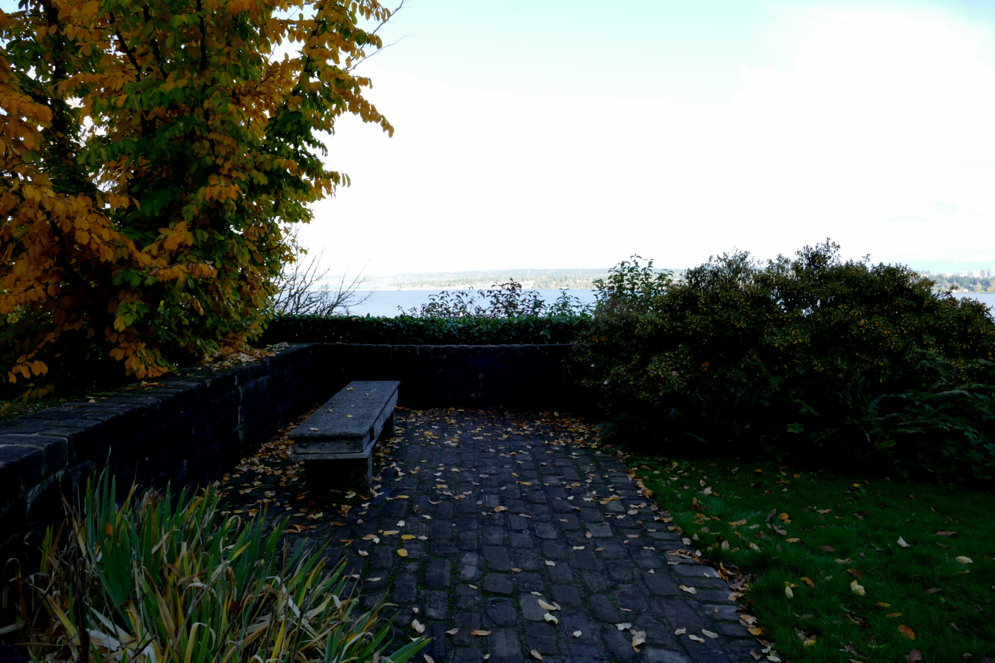 Lakeview Park in Seattle | Park Preview