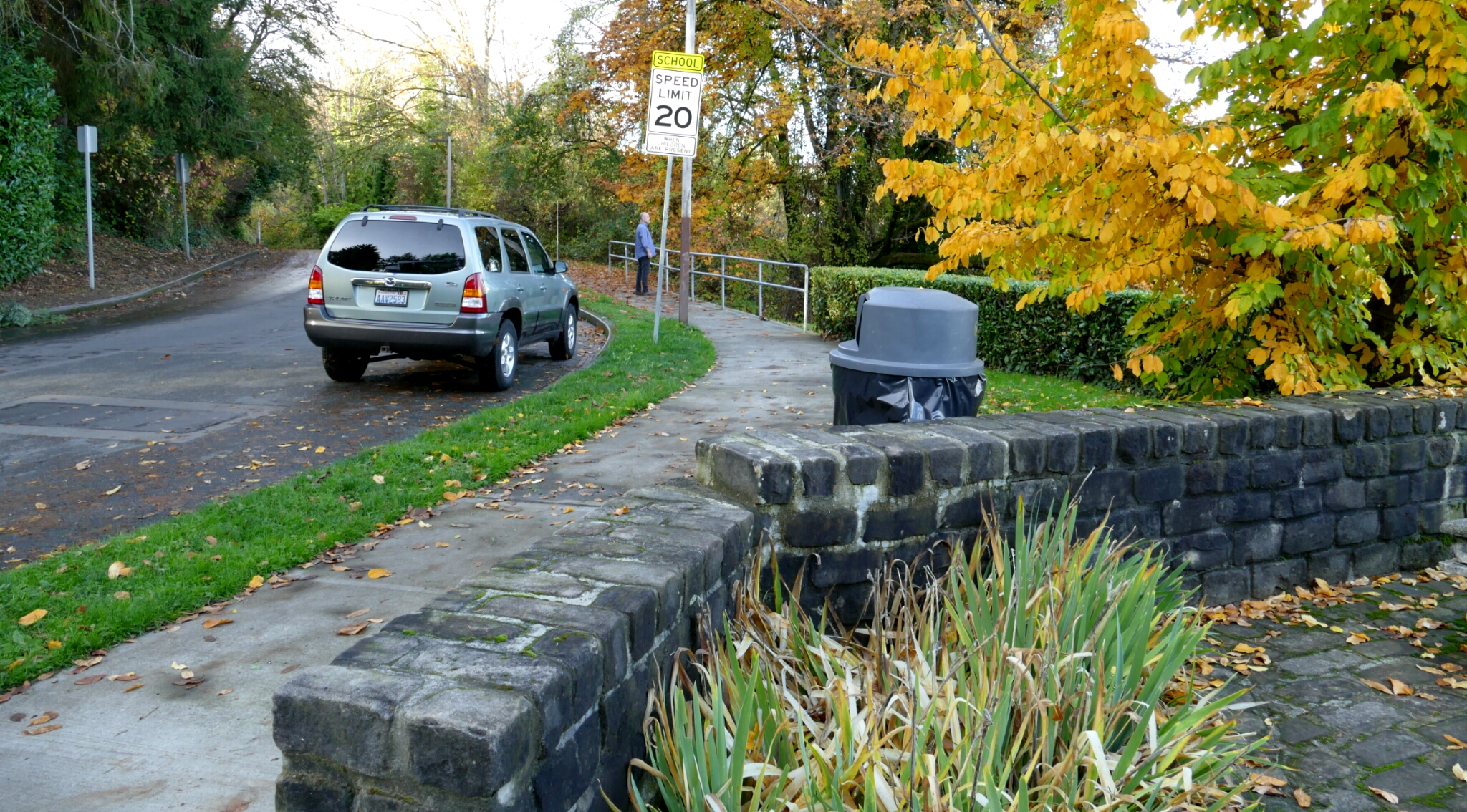 Lakeview Park in Seattle | Park Preview