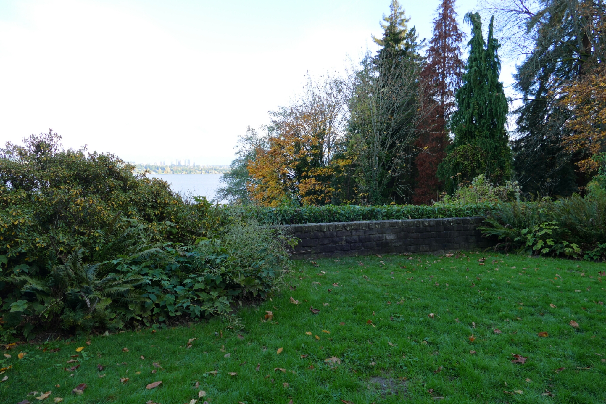 Lakeview Park in Seattle | Park Preview