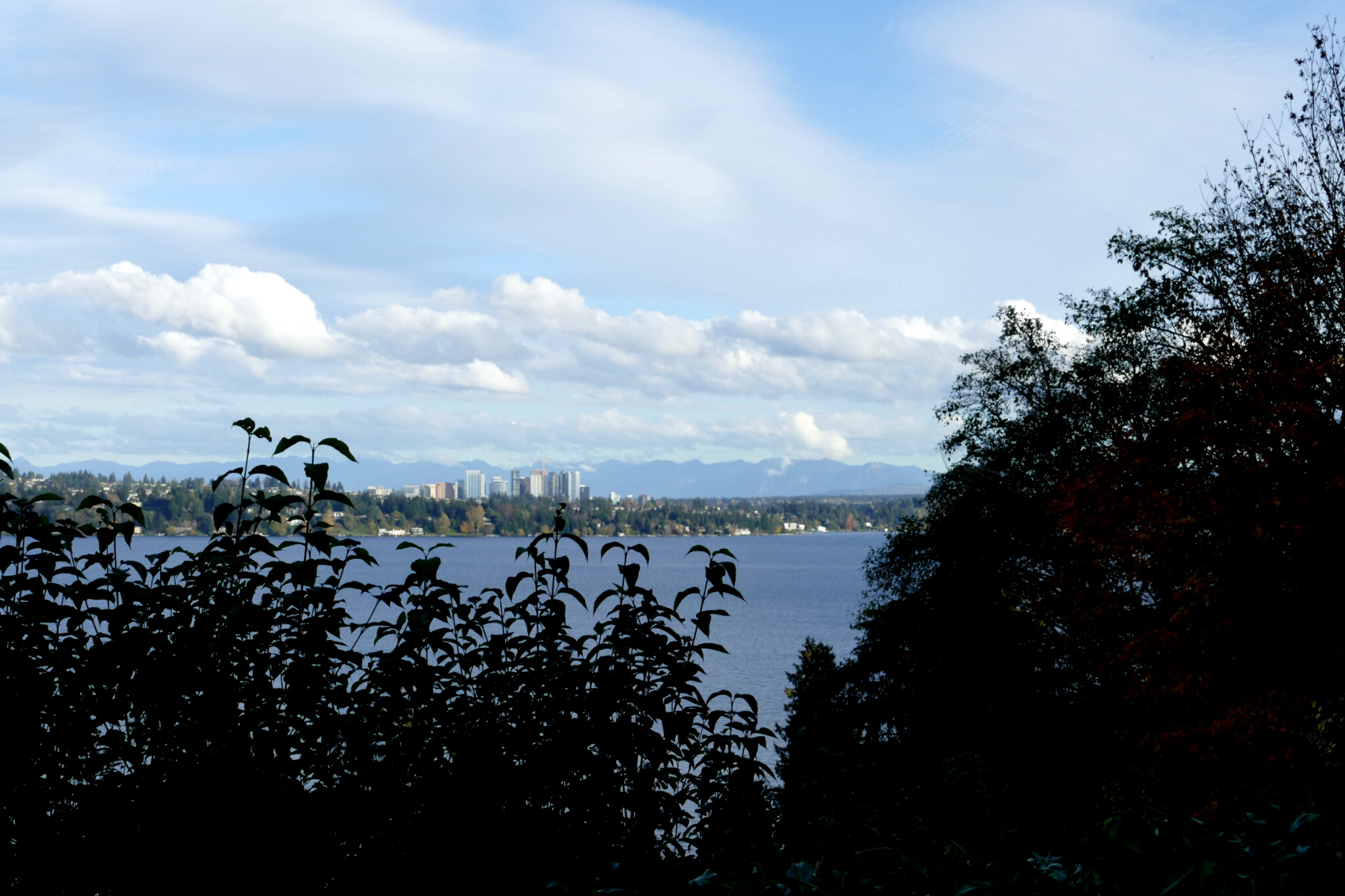 Lakeview Park in Seattle | Park Preview