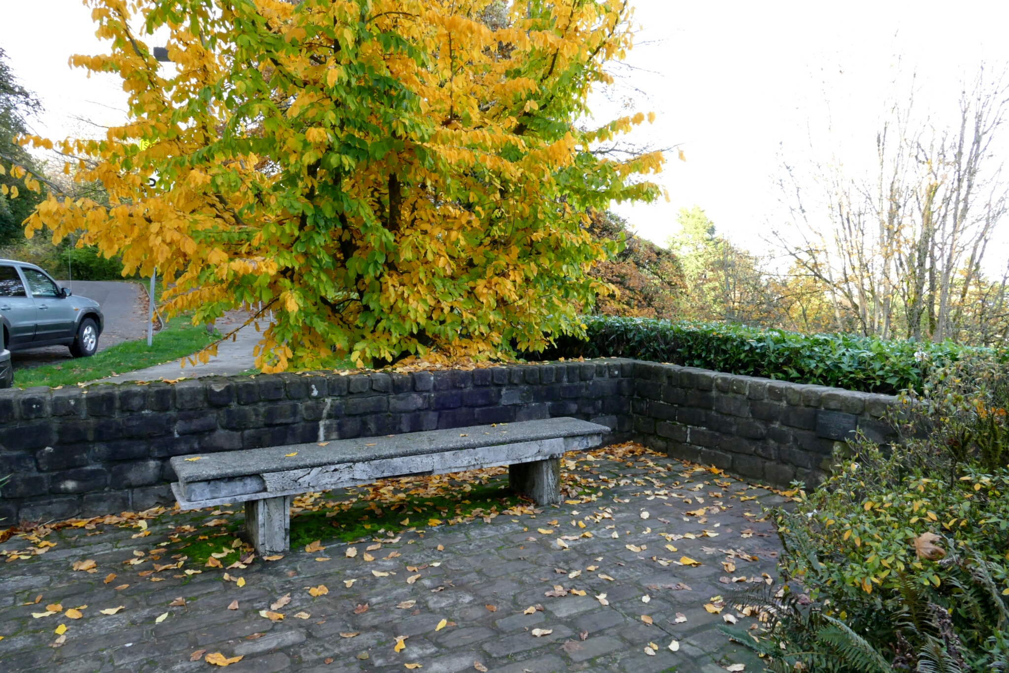 Lakeview Park in Seattle | Park Preview