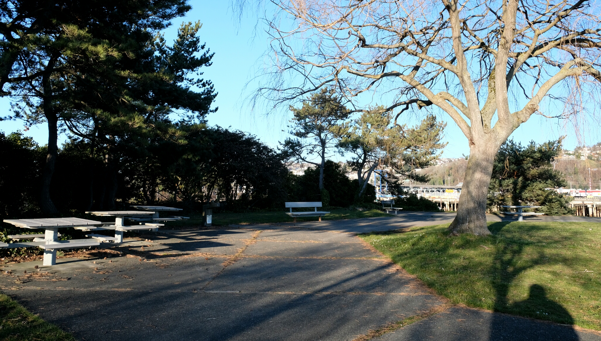 Smith Cove Park in Seattle | Park Preview