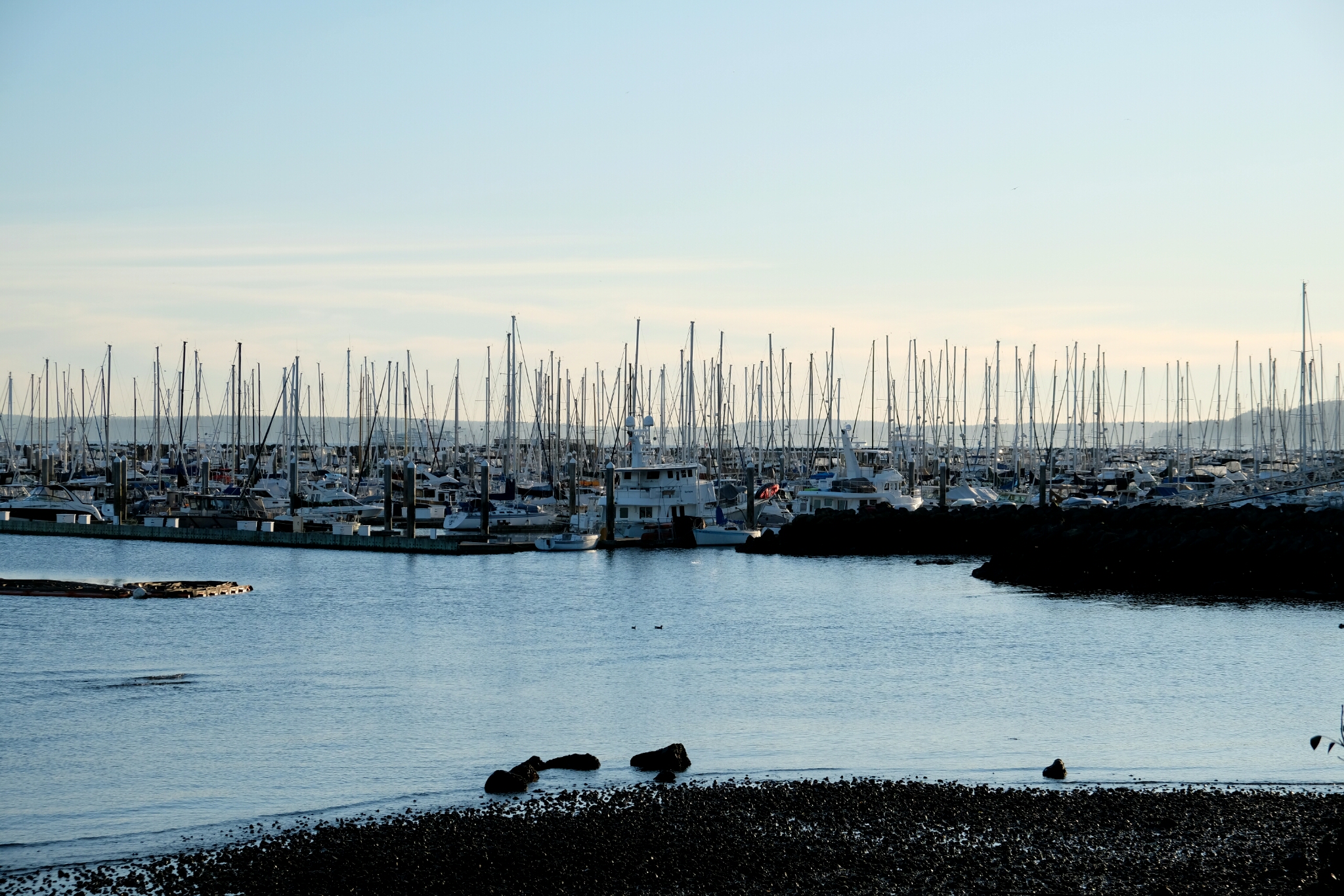 Smith Cove Park in Seattle | Park Preview