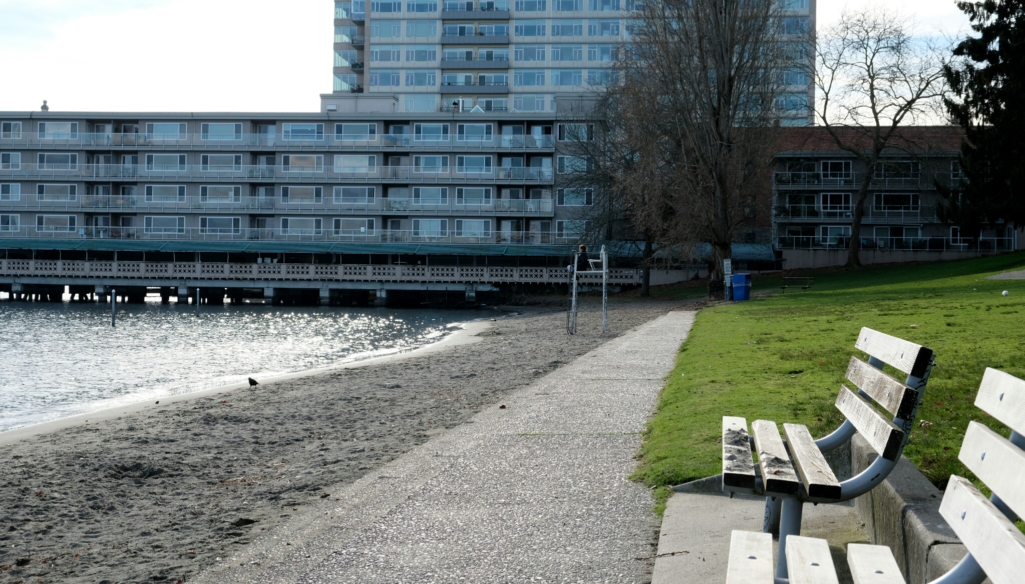 Madison Park in Seattle | Park Preview