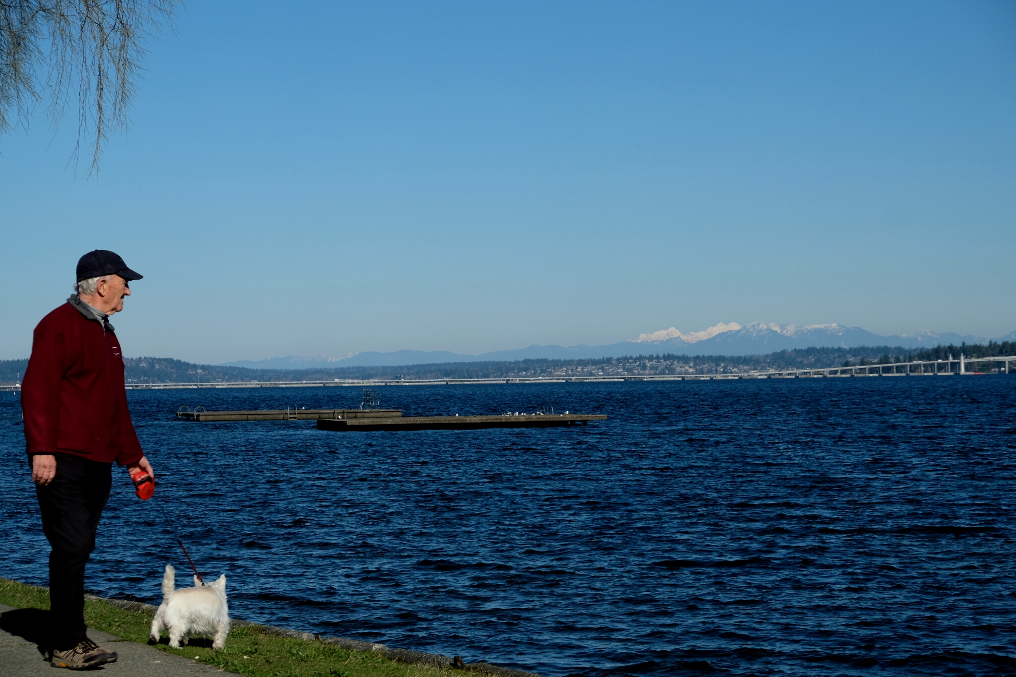 Madrona Park in Seattle | Park Preview