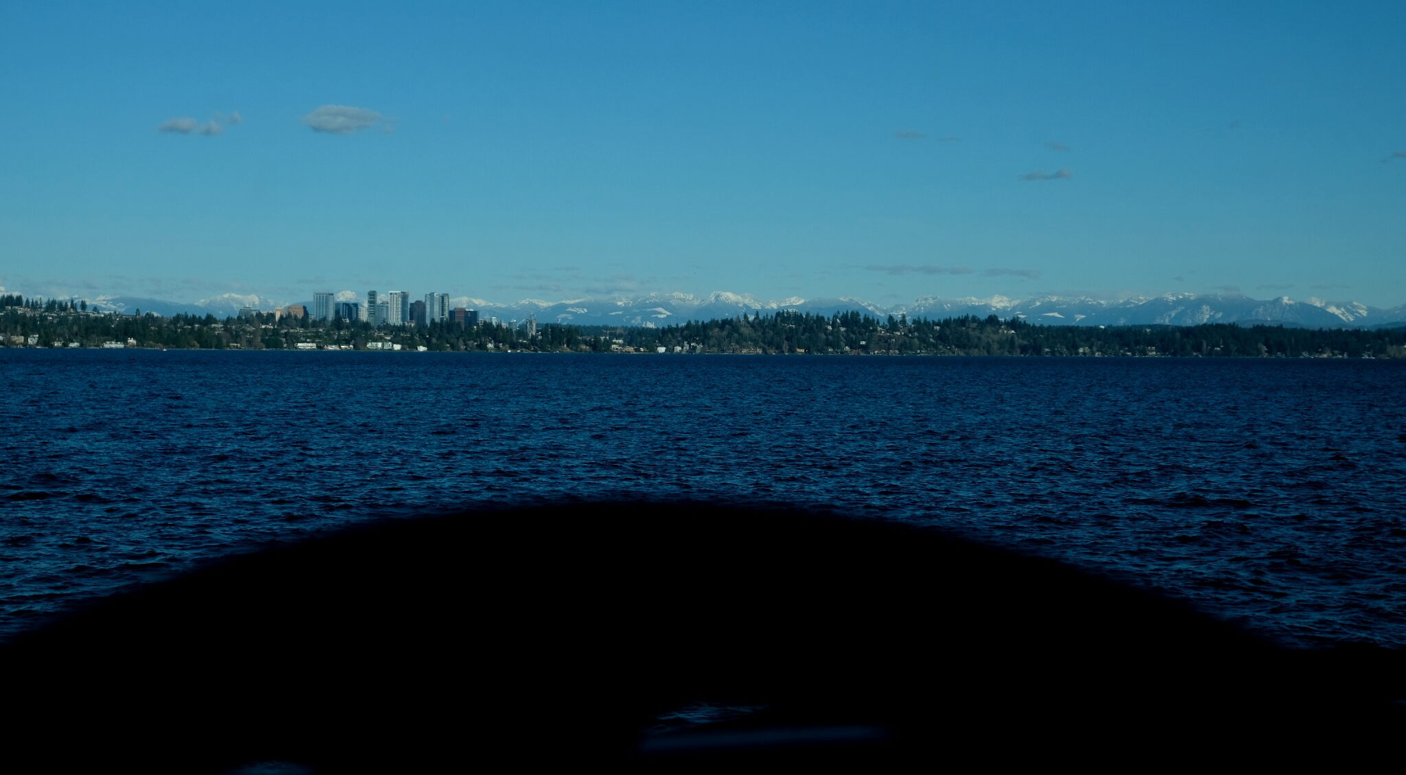 Madrona Park in Seattle | Park Preview